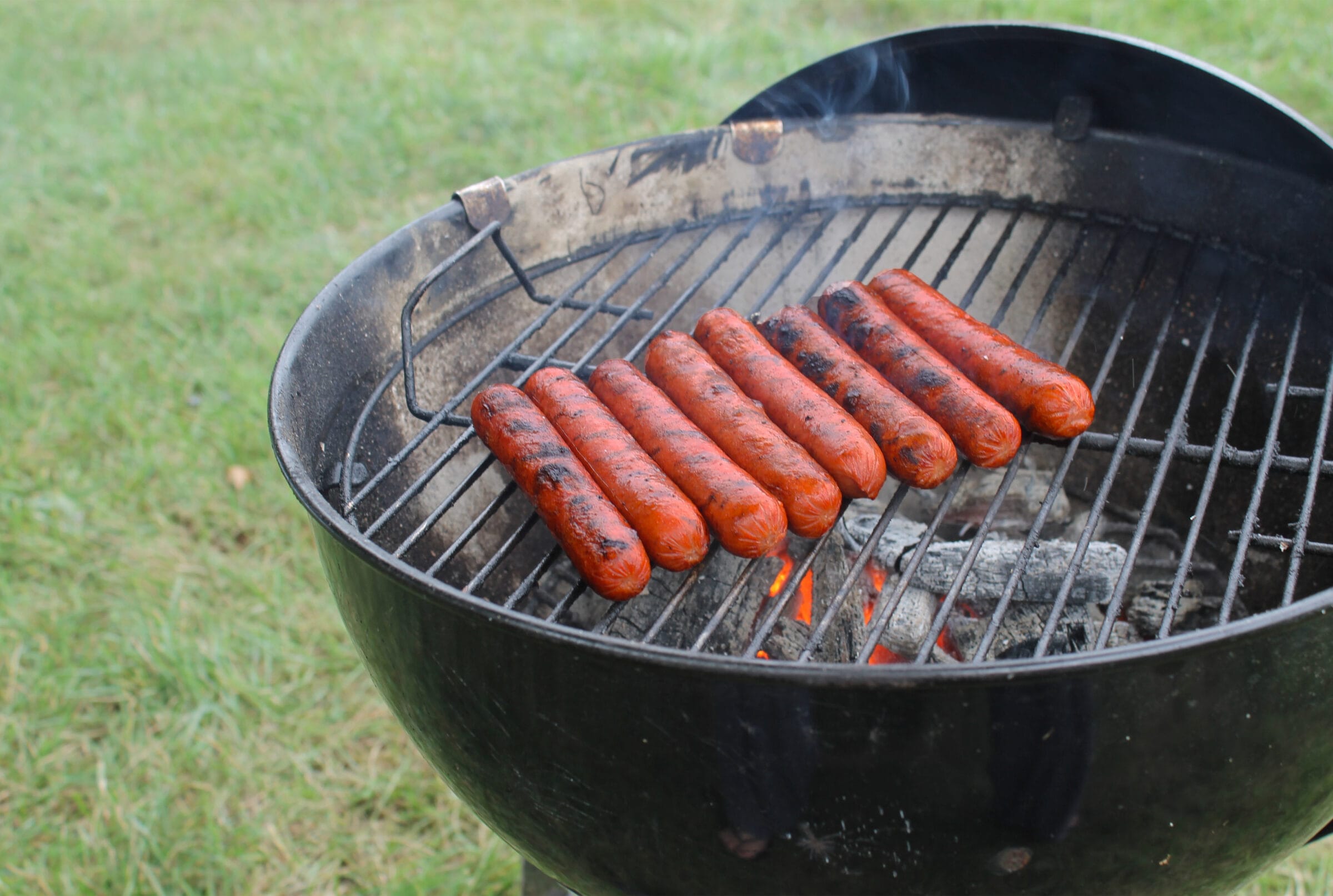 Wellshire Hot Dogs Win "Best Backyard BBQ" - eatwellshire.com